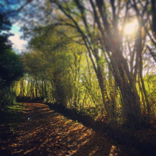 4 bonnes raisons de venir flâner … | Office de Tourisme de Vendôme